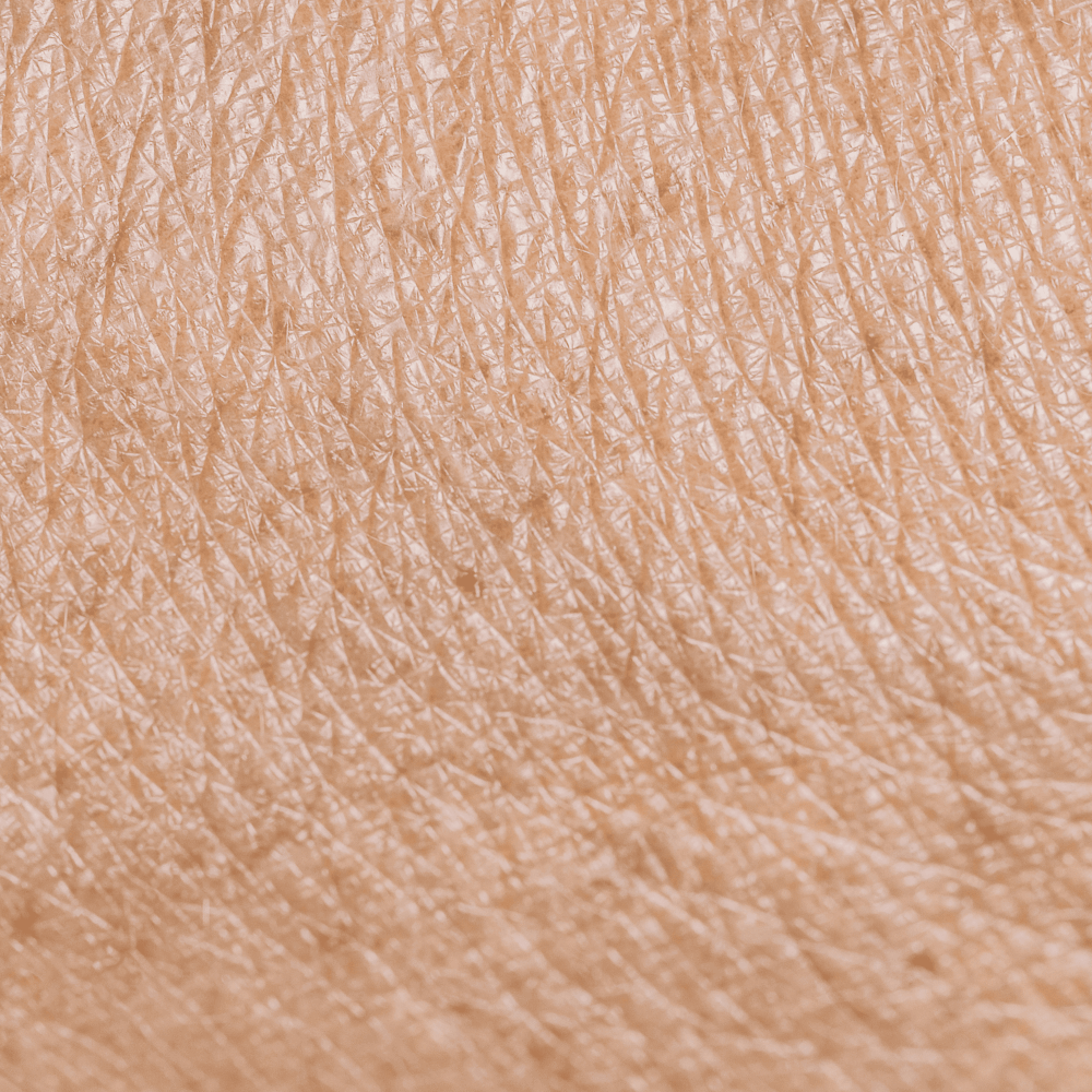 RIDES ET RIDULES – Laboratoires DermEden